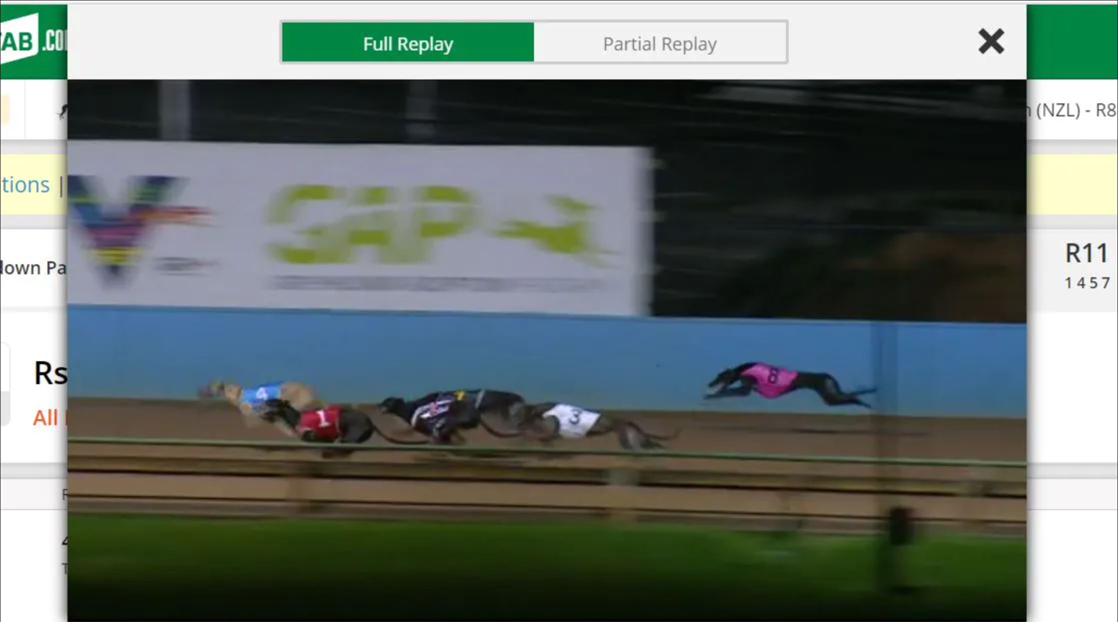 Greyhound Racing Betting: Tips, Odds & Fixtures 2024