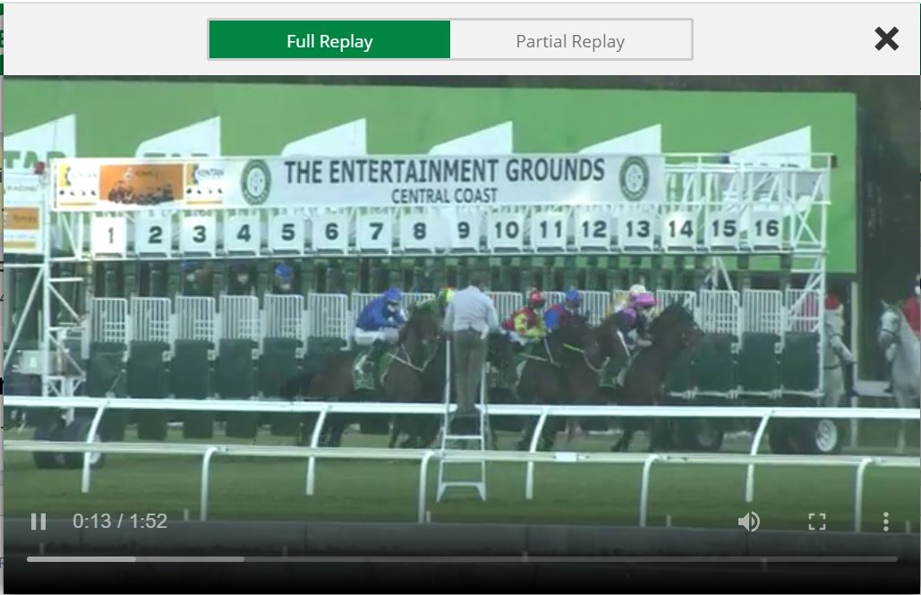 Horse Racing Replays