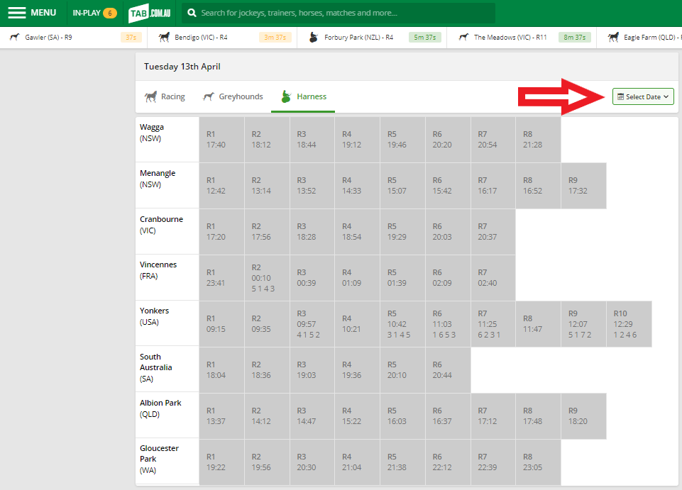 Horse Racing Replays