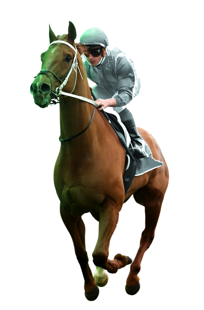 Harness Racing Betting: Tips, Odds & Fixtures 2024