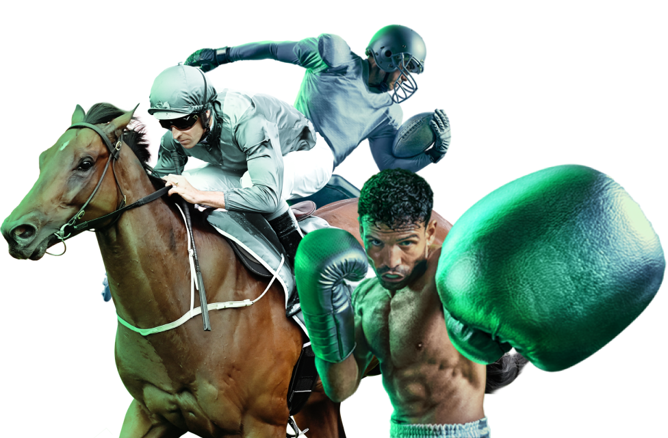 Race Fields Today - Horse Racing Betting Odds & Form Guides